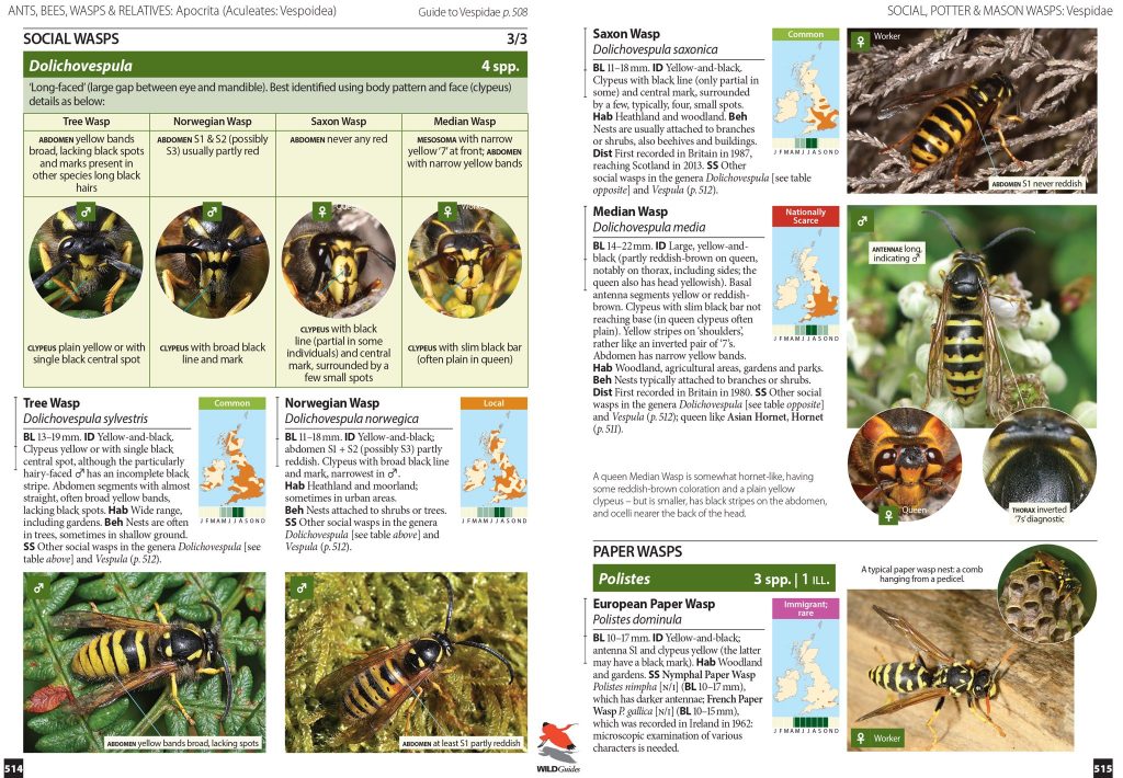 Britain's Insects: A field guide to the insects of Great Britain and ...