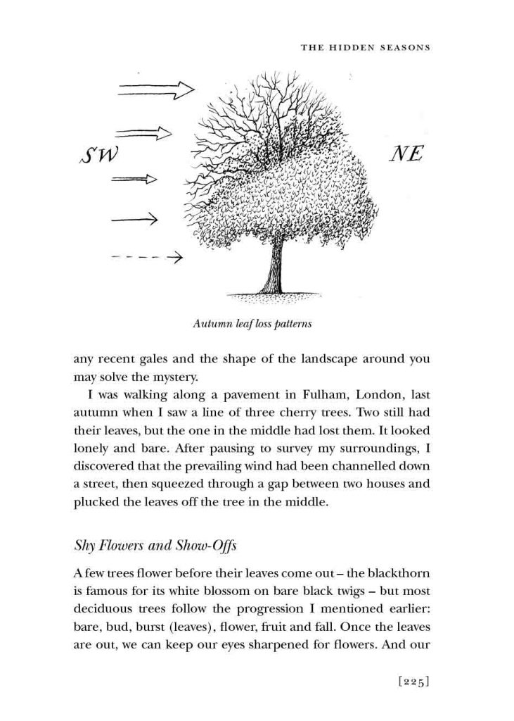 How to Read a Tree: Clues & Patterns from Roots to Leaves from ...