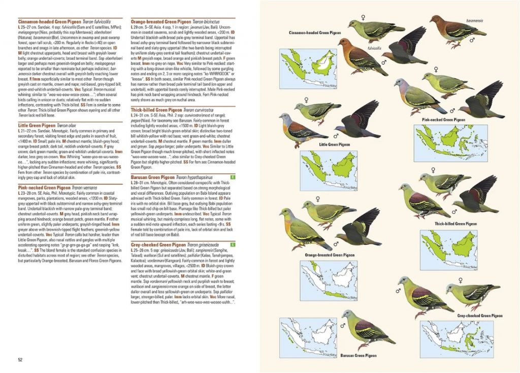 Birds of the Indonesian Archipelago - Greater Sundas and Wallacea ...